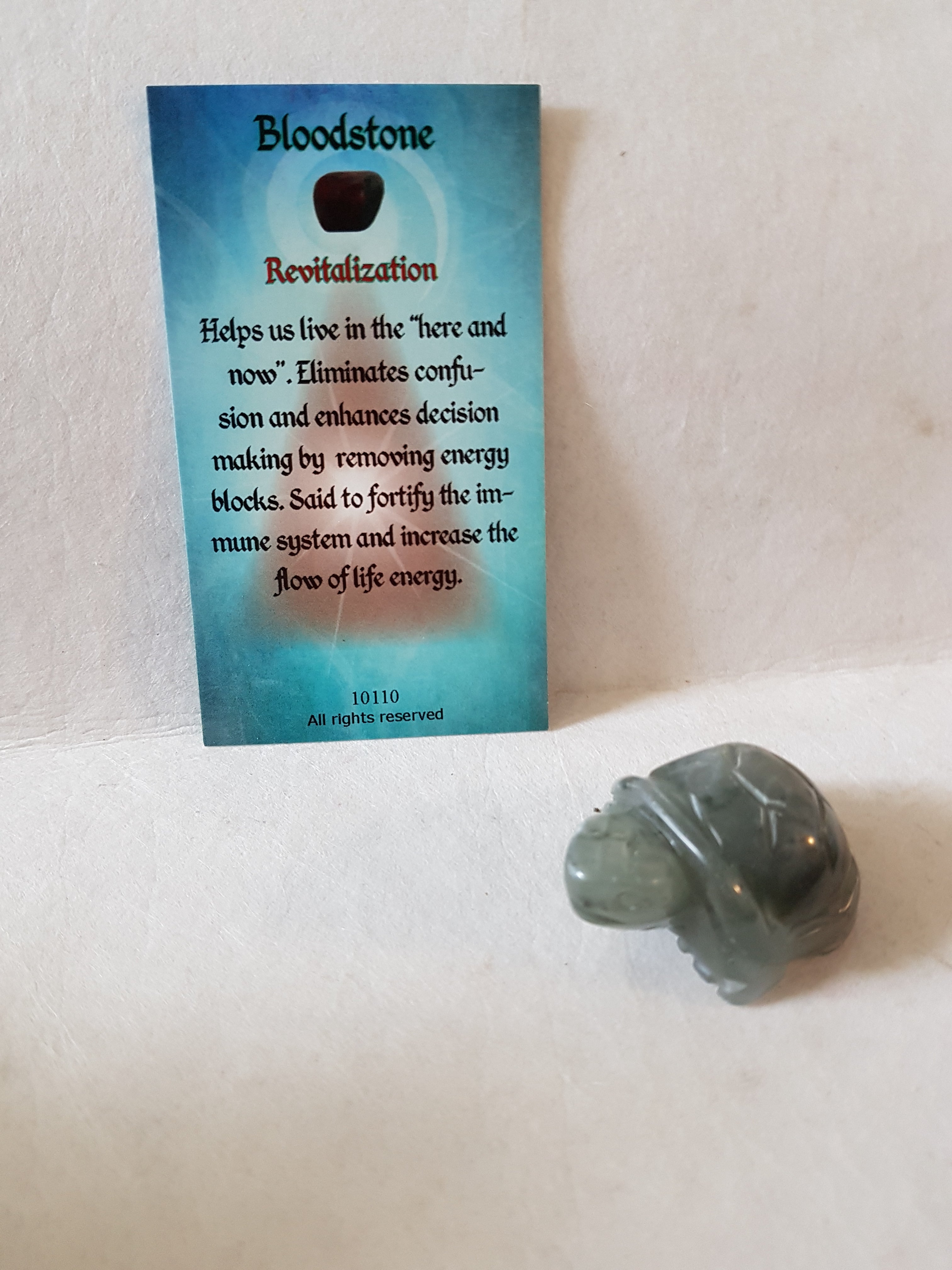 Bloodstone Turtle – Lady Di's Healing Elements